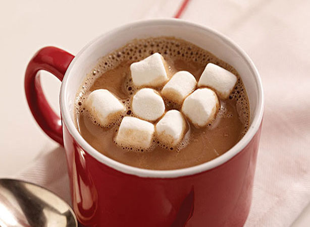 Weight Watchers Hot Cocoa Recipe • WW Recipes